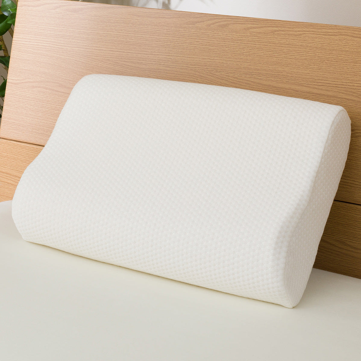 FUNCTIONAL PILLOWS