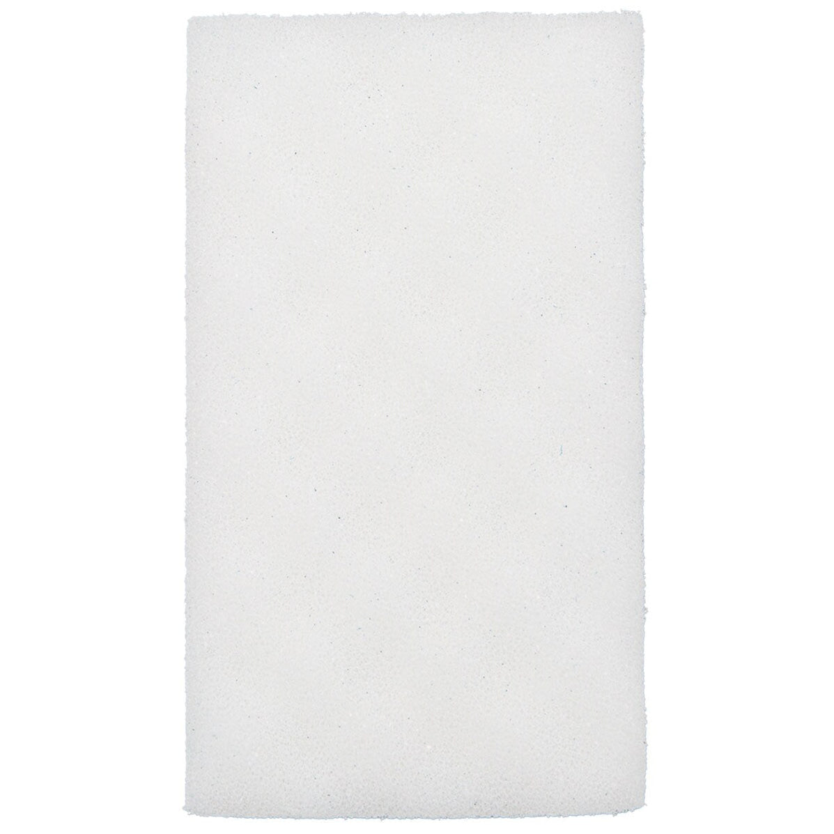 ANTIBACTERIAL HARD SPONGE 3P